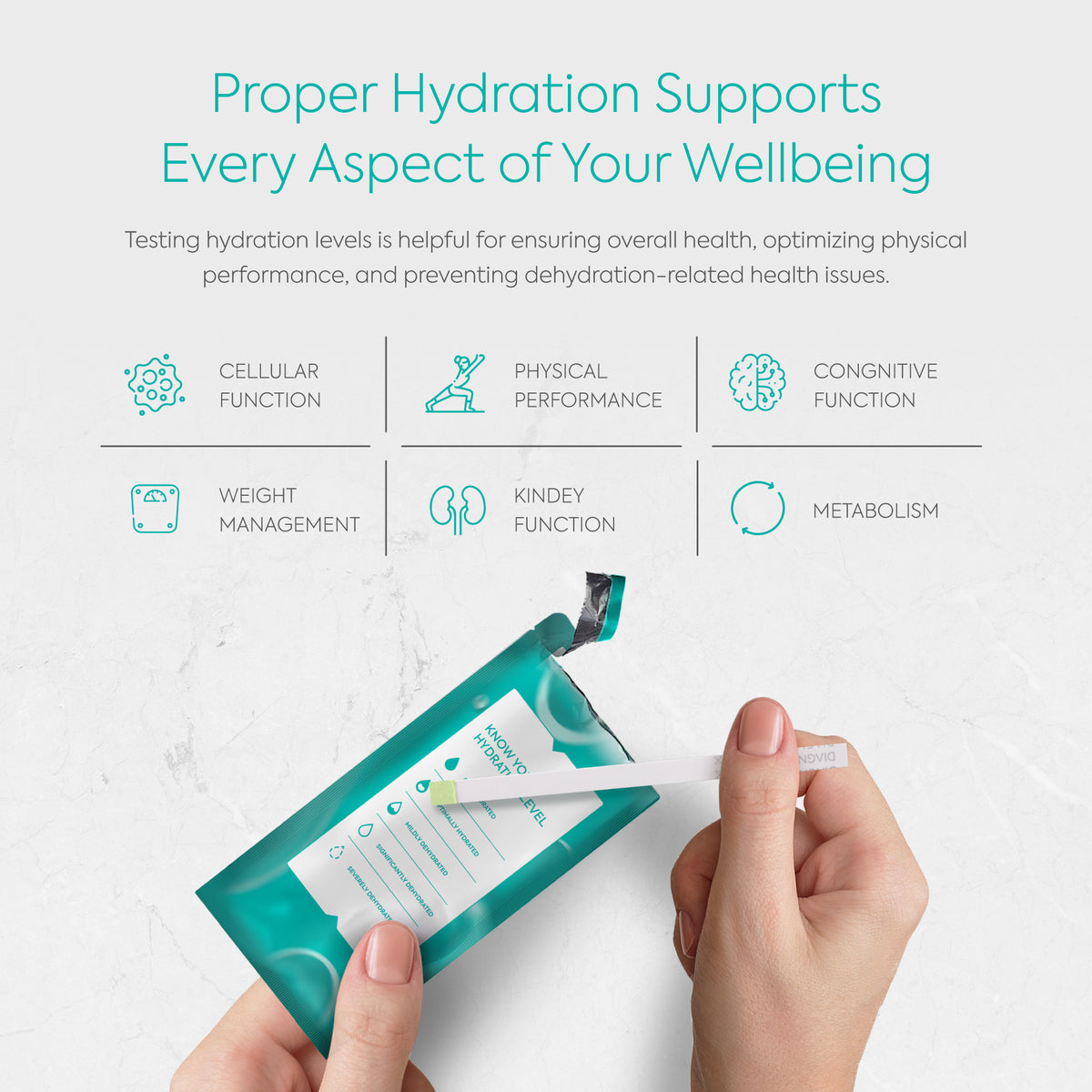 Diagnox Hydration Test: Urine Specific Gravity Test – Diagnox Health