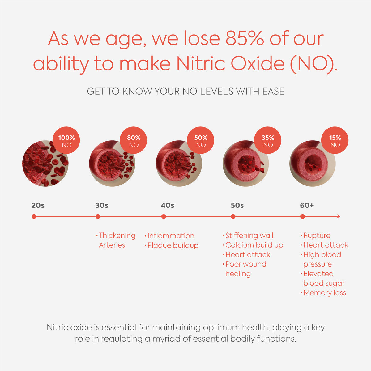 Nitric Oxide Test Strips for Saliva – 30 Tests | Accurate Nitric Oxide ...